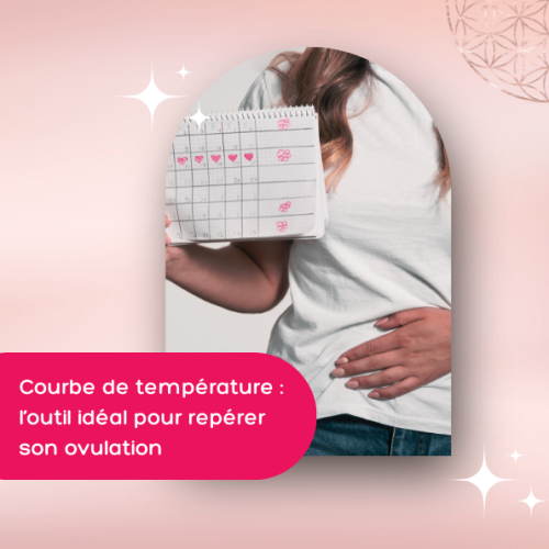 Courbe de température : l’outil idéal pour repérer son ovulation ...